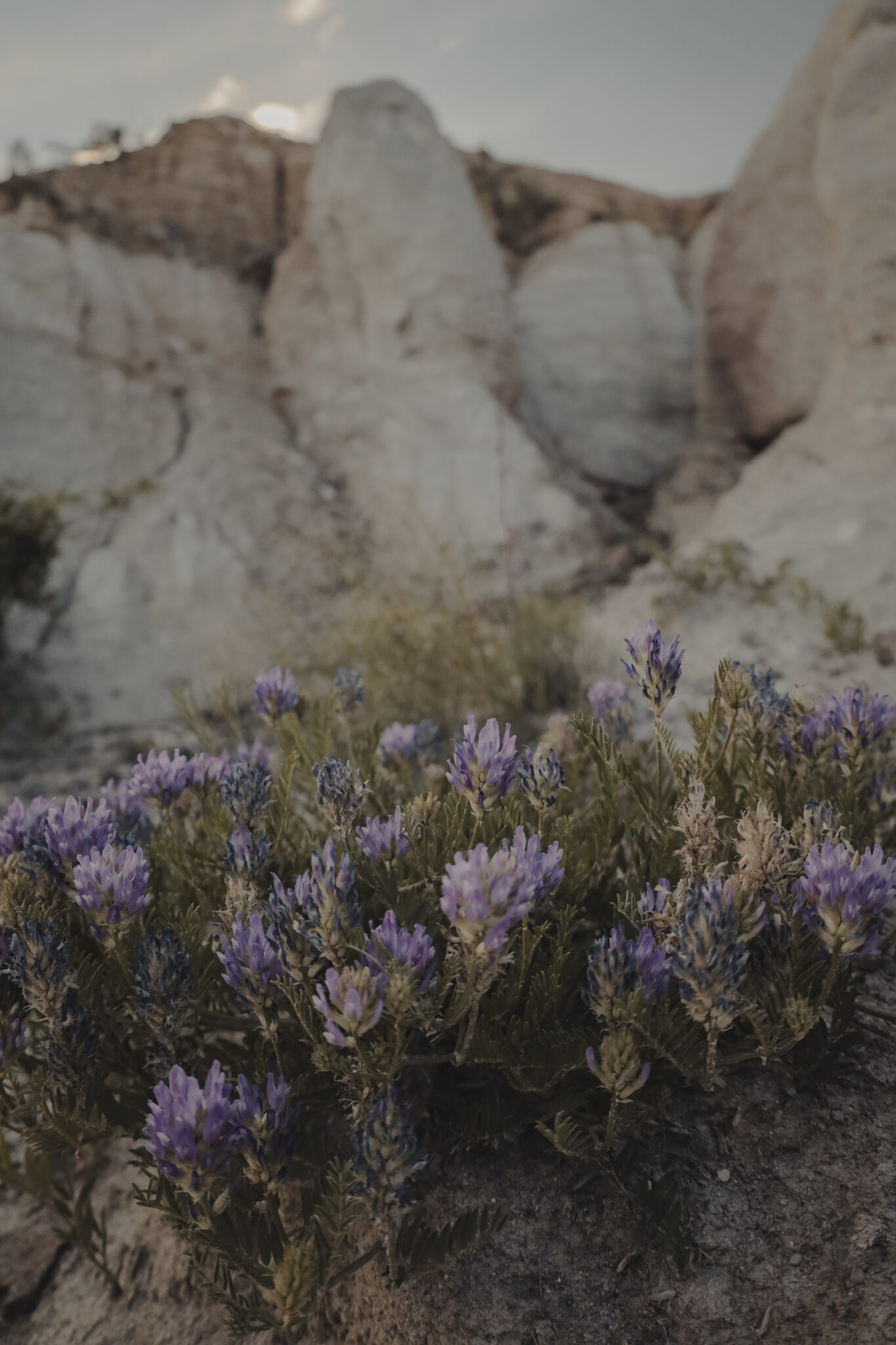 27 Scenic Day Trips From Colorado Springs You'll Absolutely Love